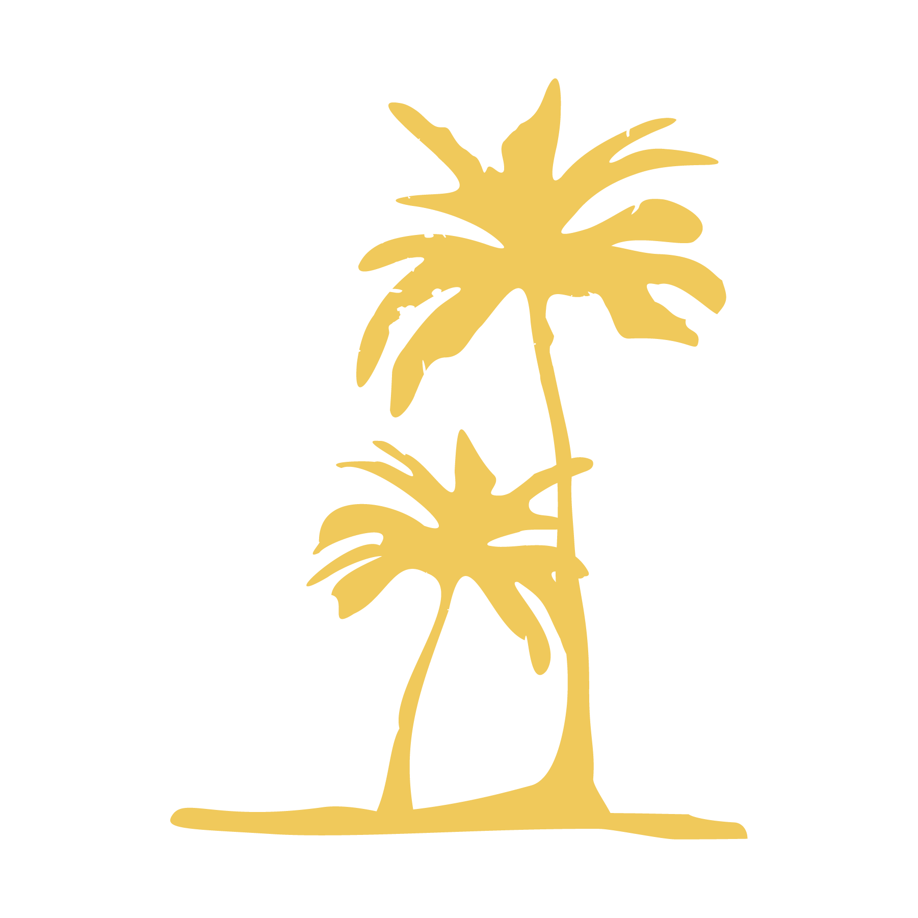 Aanuka Beach House - Tilley and Wills Hotels